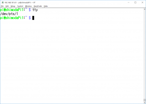 実際に標準入出力がどうなっているか確認してみます。